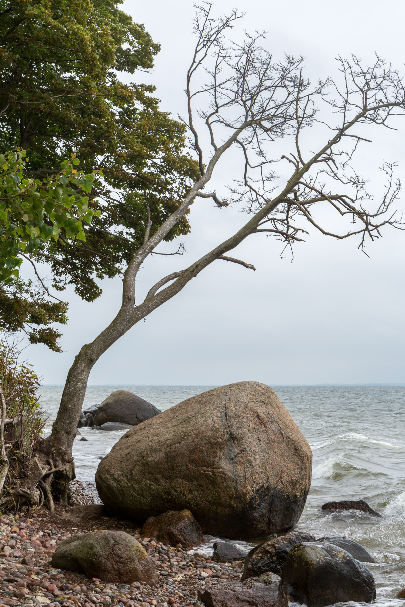 Findlinge (Großsteine) - photo auge