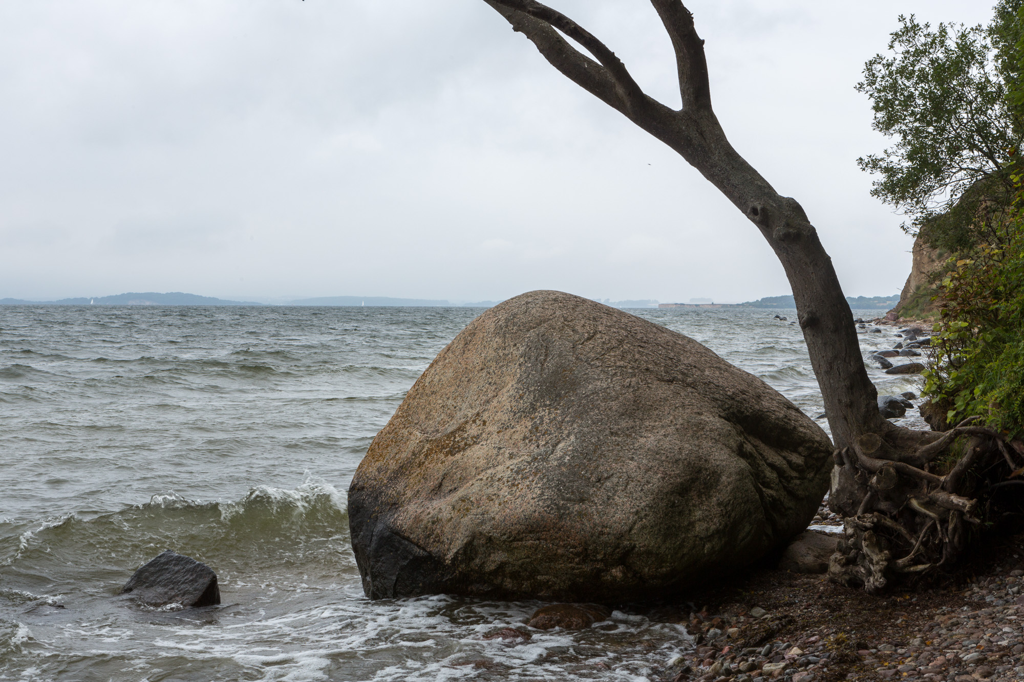 Findlinge (Großsteine) - photo auge