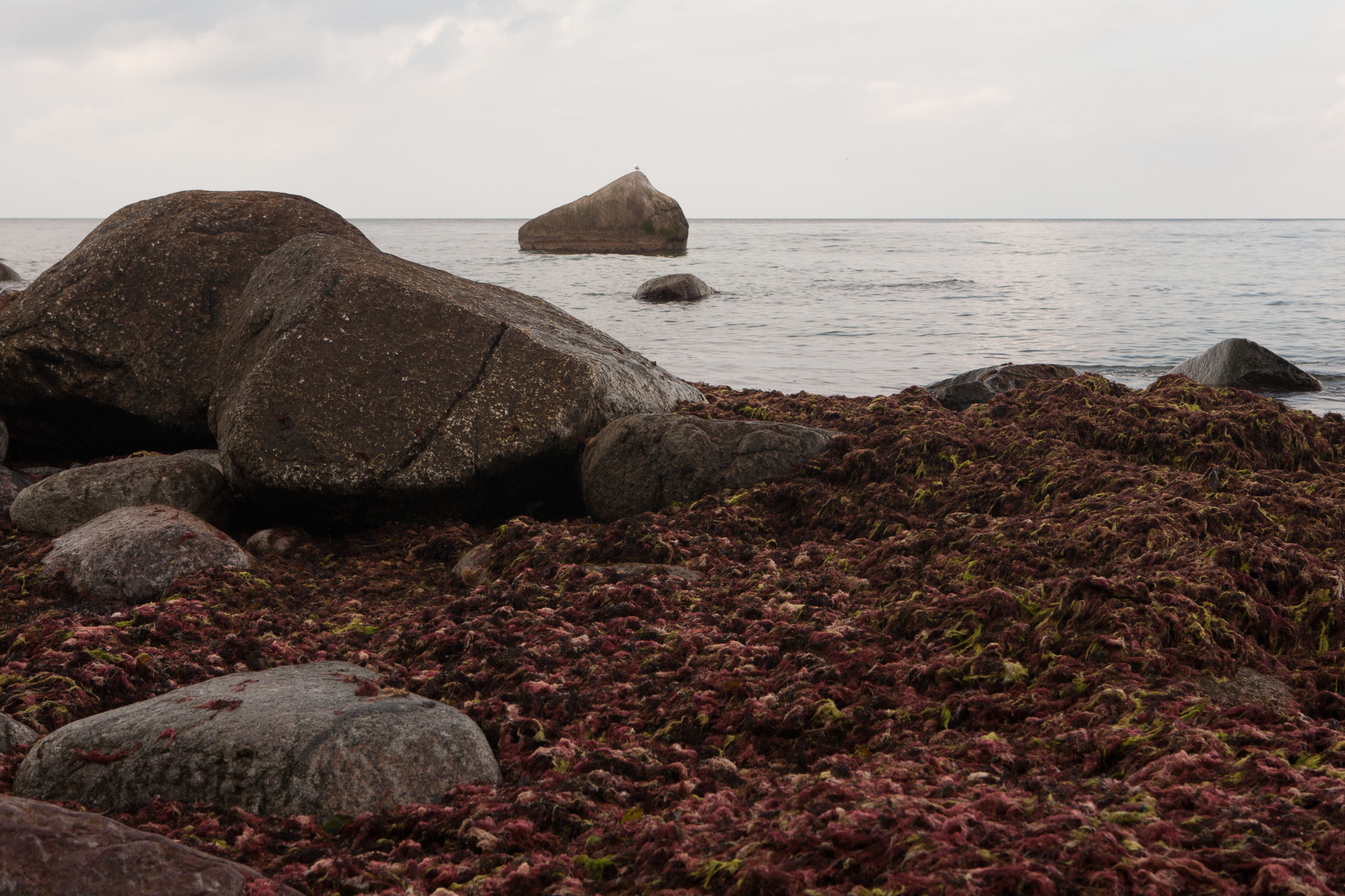Findlinge (Großsteine) - photo auge