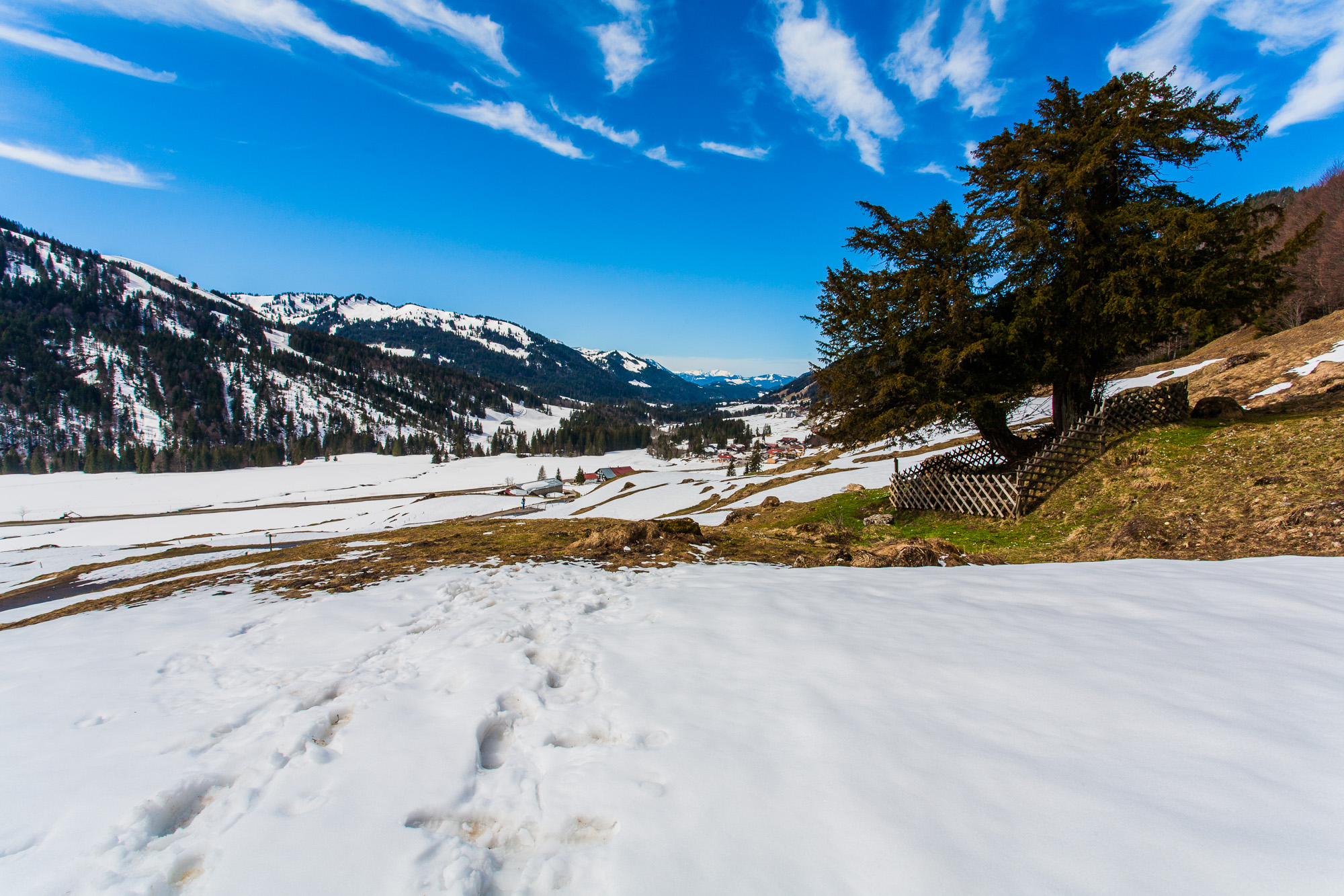 Balderschwang - photo auge
