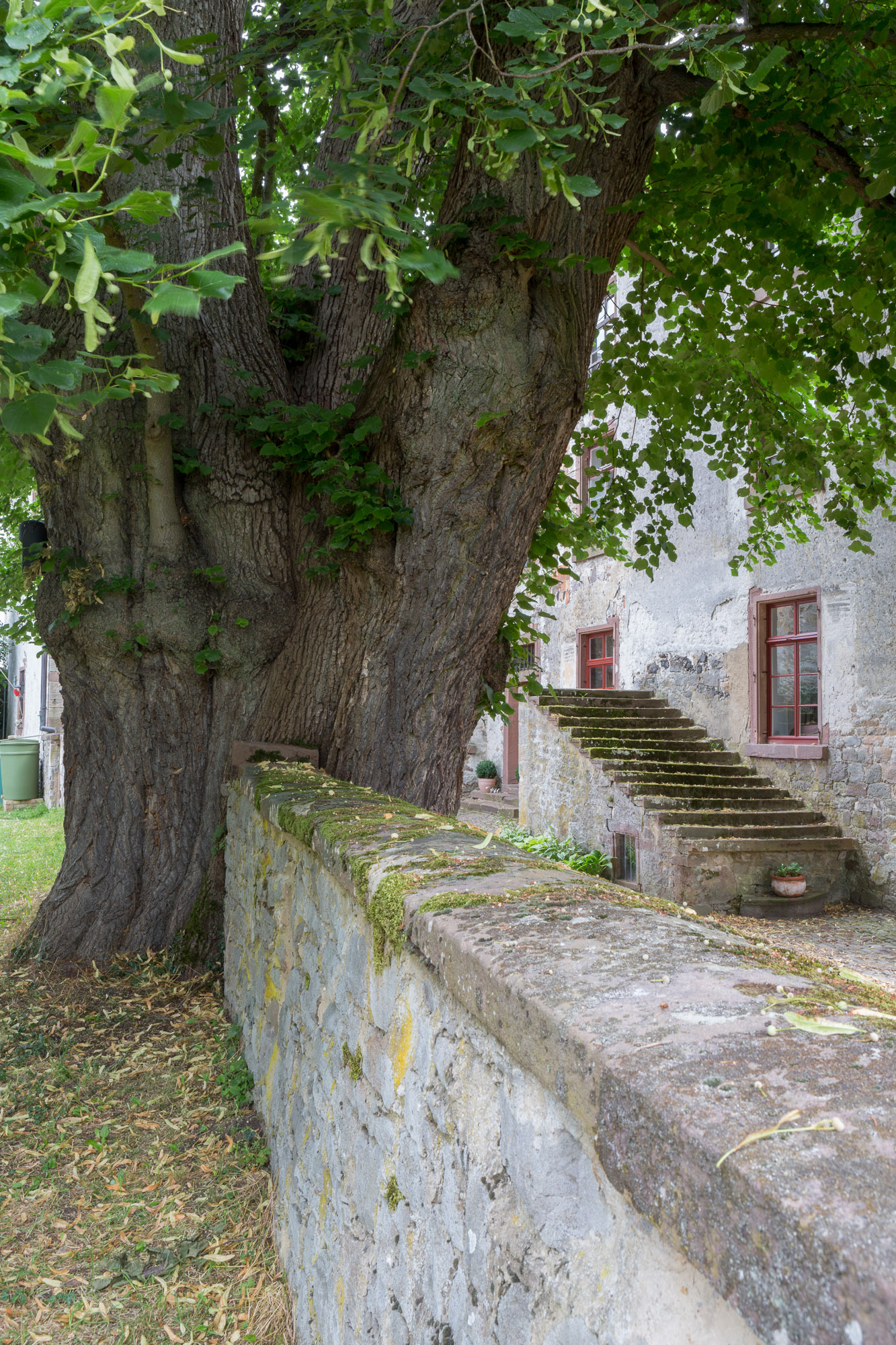 Burglinde Homberg (Ohm) - photo auge