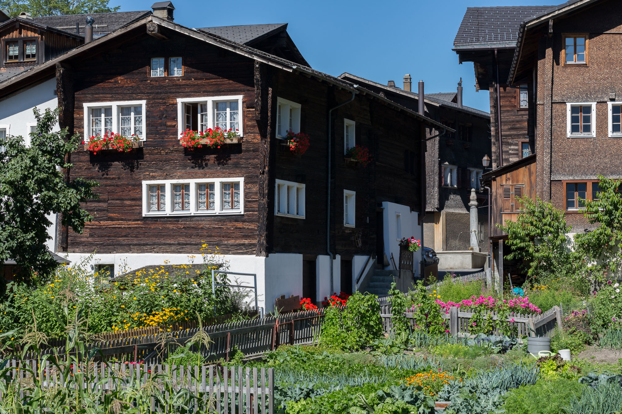 Musikdorf Ernen - photo auge