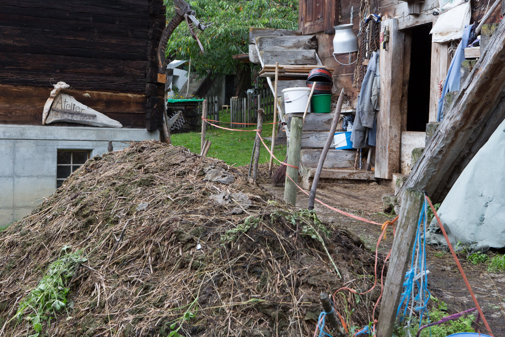 Musikdorf Ernen - photo auge
