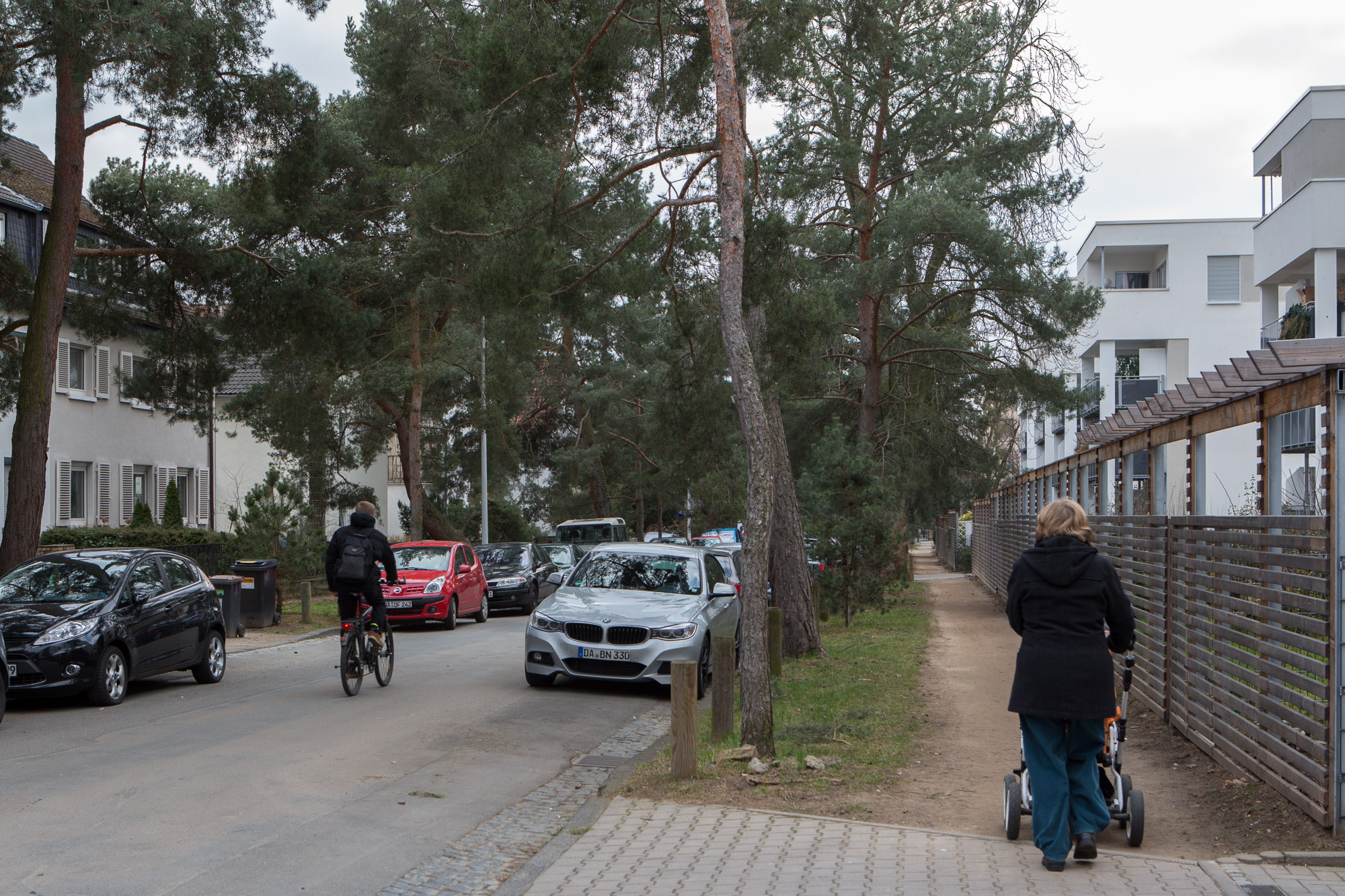 Schepp Allee - photo auge