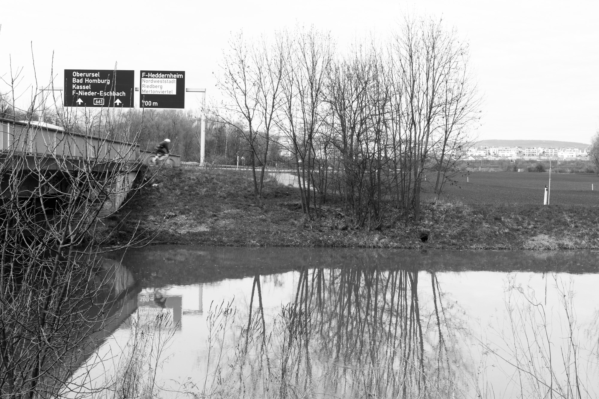 Nidda Nord - photo auge